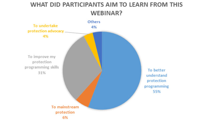 Helping the aid community ensure results-based Protection work in COVID ...